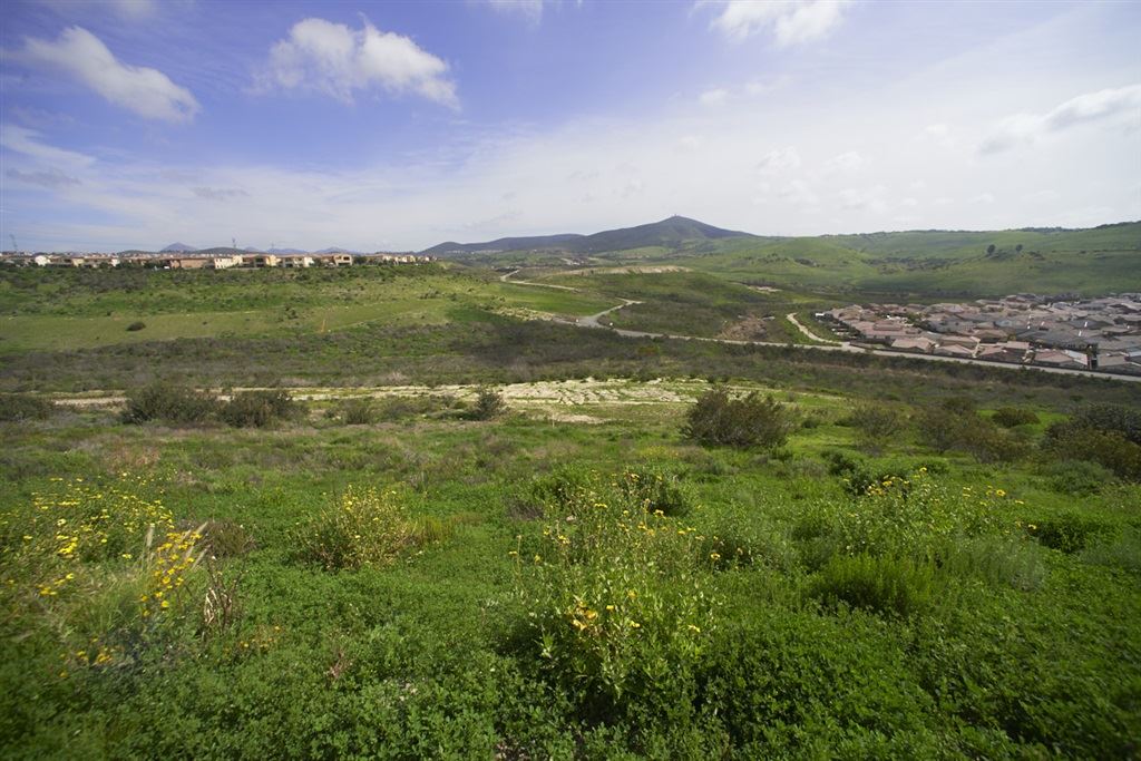 DEL SUR - Welcome Home San Diego